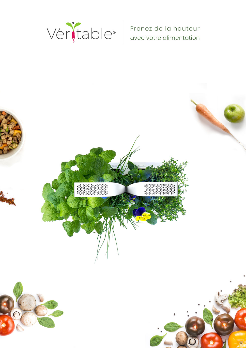 veritable – Titre du site / page